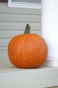 FF7518 Pumpkin | Color Sorting | Fandom