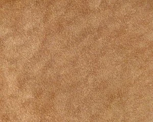 D2B48C Tan | Color Sorting | Fandom