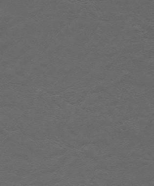 Ash Grey | Colour Coded Wiki | Fandom