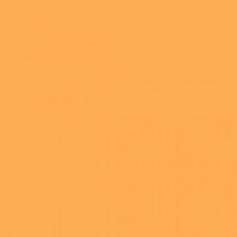 Apricot (colour) | Colour Coded Wiki | Fandom