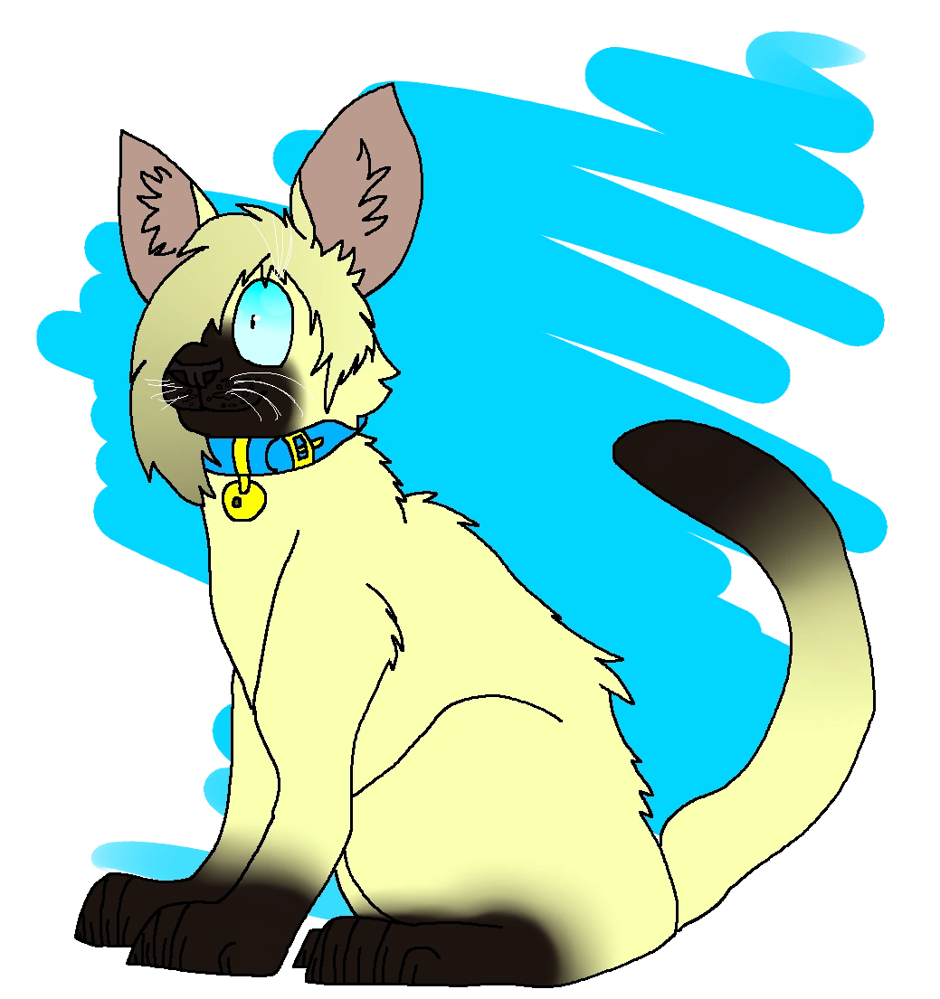 Siamese Boy | Coloxus Wiki | Fandom