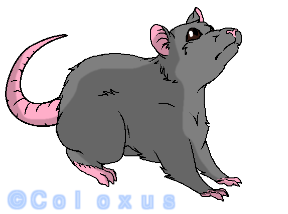 Mr. Rat Paws | Coloxus Wiki | Fandom