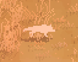 Wolf | Colt Canyon Wiki | Fandom