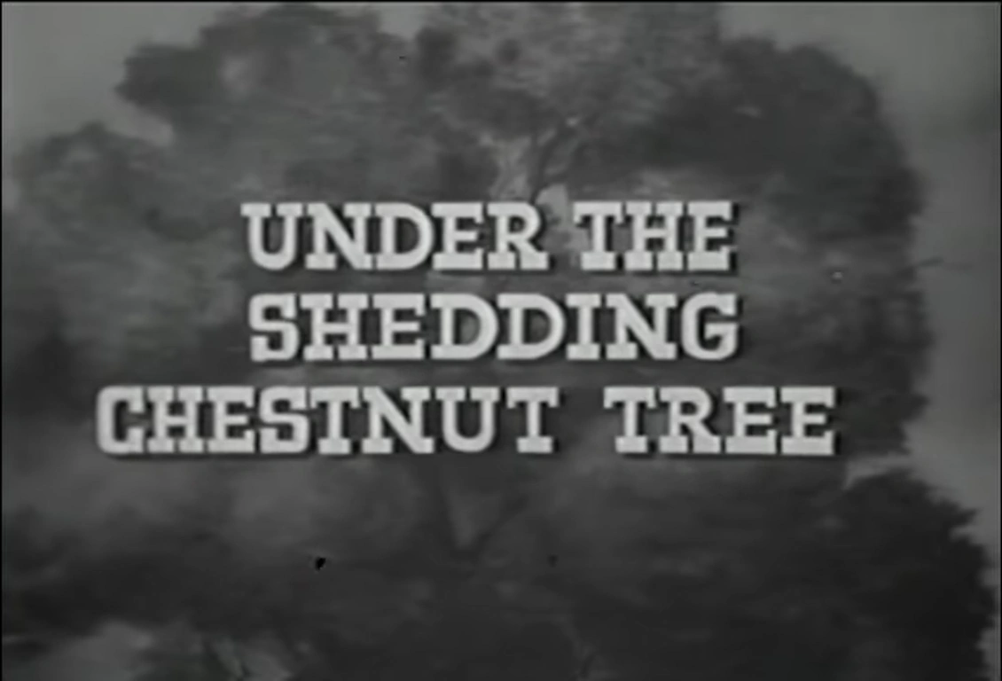 Under the Shedding Chestnut Tree | Columbia Cartoons Wiki | Fandom