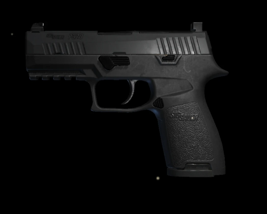 P-18 | Combat Master Wiki | Fandom