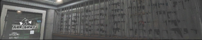 Ace Shot | CAWiki | Fandom