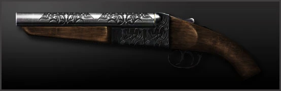 Double Barrel Punisher | CAWiki | Fandom