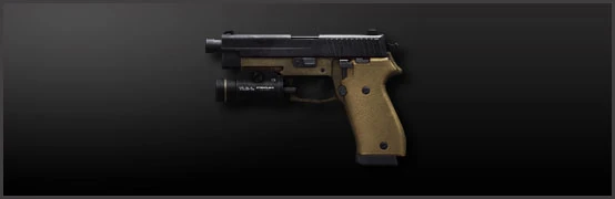 P220 Combat TB | CAWiki | Fandom