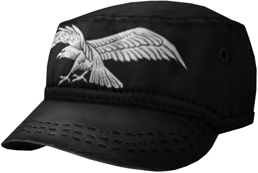 Professional Cap | CAWiki | Fandom