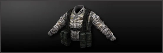 Arctic Camo | CAWiki | Fandom