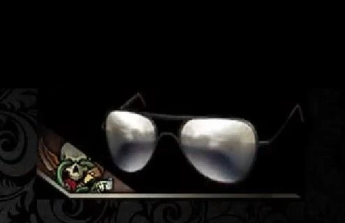 Max's Aviator Glasses | CAWiki | Fandom