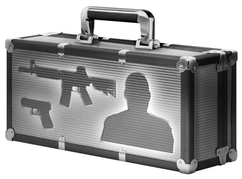 Silver Case | CAWiki | Fandom