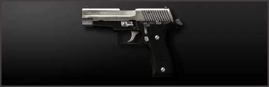 P226 Silver | CAWiki | Fandom