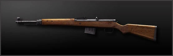 Gewehr 43 | CAWiki | Fandom