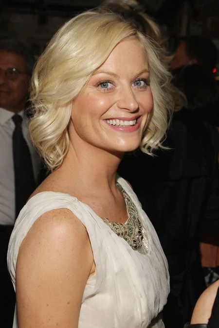 Amy Poehler | Comedy Hub Wiki | Fandom