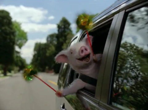 Maxwell the Geico Pig's Pinwheel | Comedy World by Youtube Wiki | Fandom