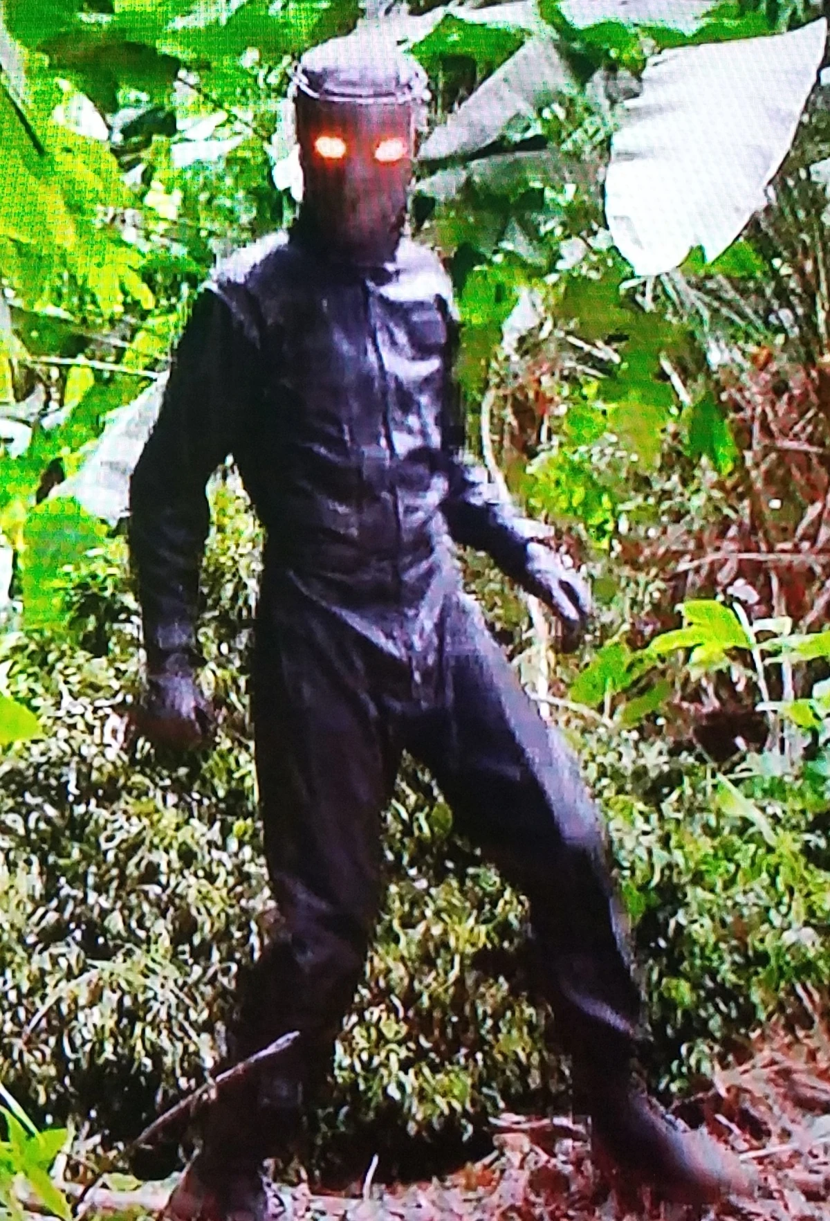 Category:Mordis (Inhumans) | Comic books in the media Wiki | Fandom