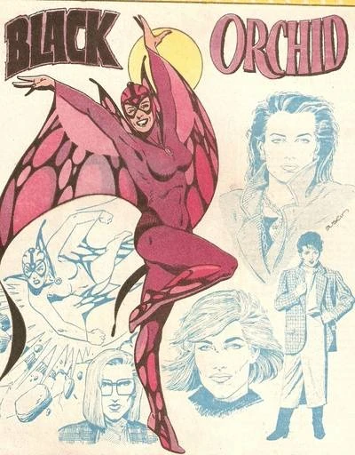 Category:Black Orchid | Comic books in the media Wiki | Fandom