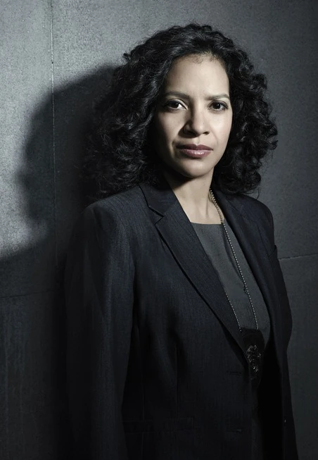 DC COMICS: Gotham bio Renee Montoya | Comic books in the media Wiki ...
