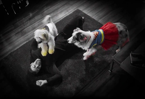 DC COMICS: ZOO CREW (Petsmart Halloween 2014 | Comic books in the media ...