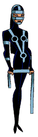 DC COMICS: DC Animated Universe Bio (Female Furies Lashina) | Comic ...