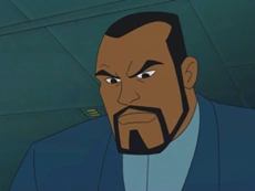 DC COMICS: DC Animated Universe Bio York | Comic books in the media ...