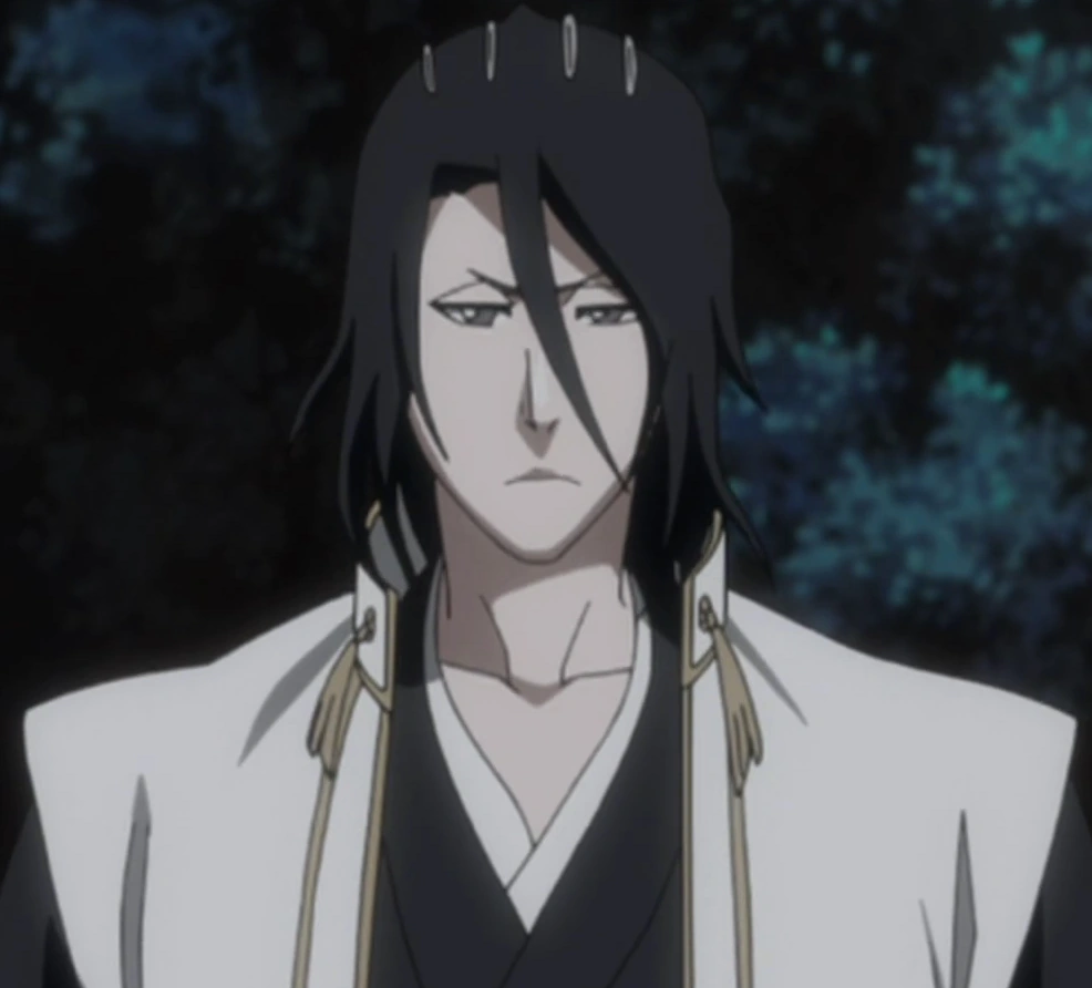 Byakuya Kuchiki | Comic vs Anime vs Cartoon Wiki | Fandom