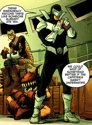 Boomerang Comic Adventures Wiki Fandom