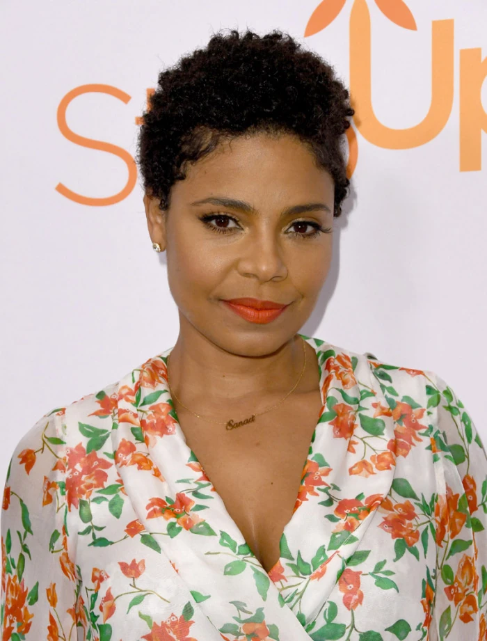 Sanaa Lathan | Comicbook Actors Wiki | Fandom