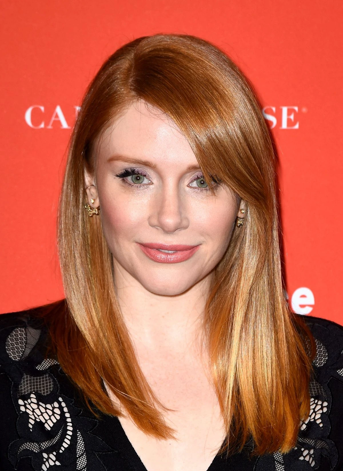 Bryce Dallas Howard | Comicbook Actors Wiki | Fandom