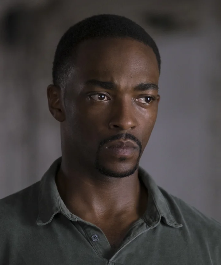 Falcon | Comiccharacterscinematicuniverse Wiki | Fandom