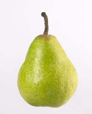 Pera | Wiki Comida | Fandom