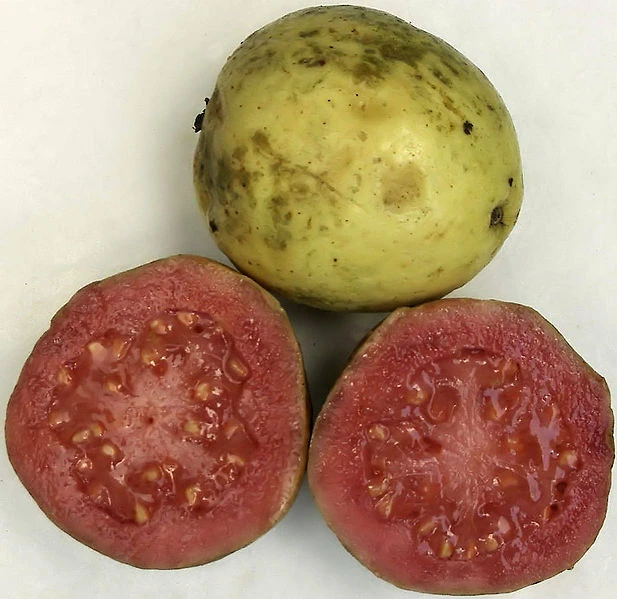 Guayaba | Wiki Comida | Fandom