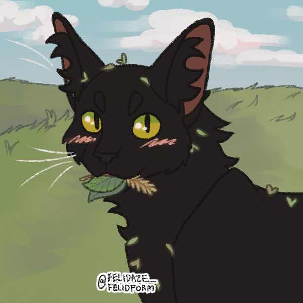 Category:Deceased Characters | Cats of Mirror Lake Wiki | Fandom Category:Deceased Characters | Cats of Mirror Lake Wiki | Fandom