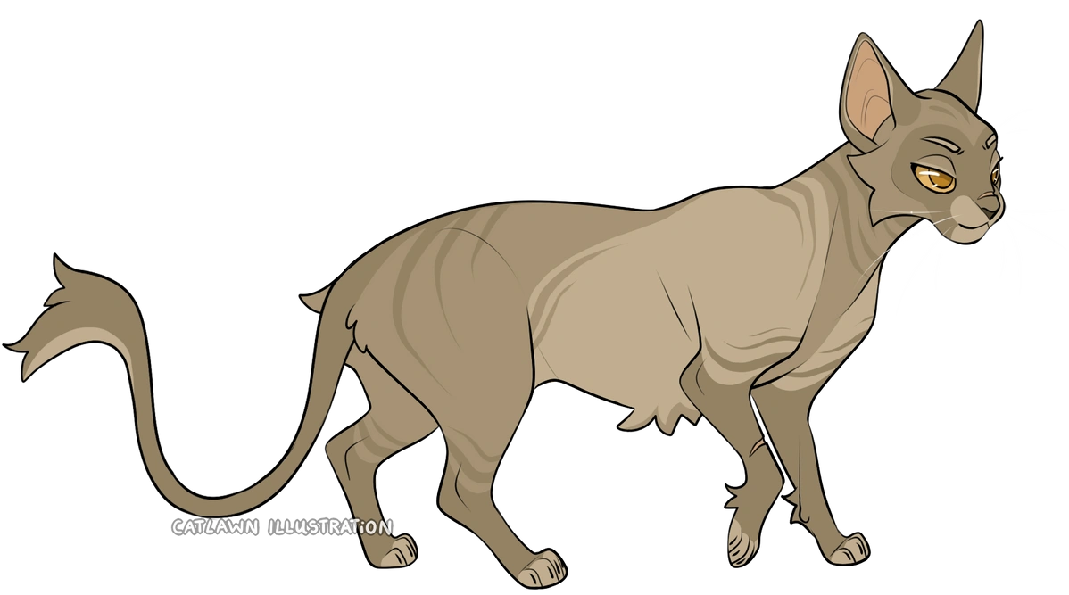 Weaseltwist | Cats of Mirror Lake Wiki | Fandom