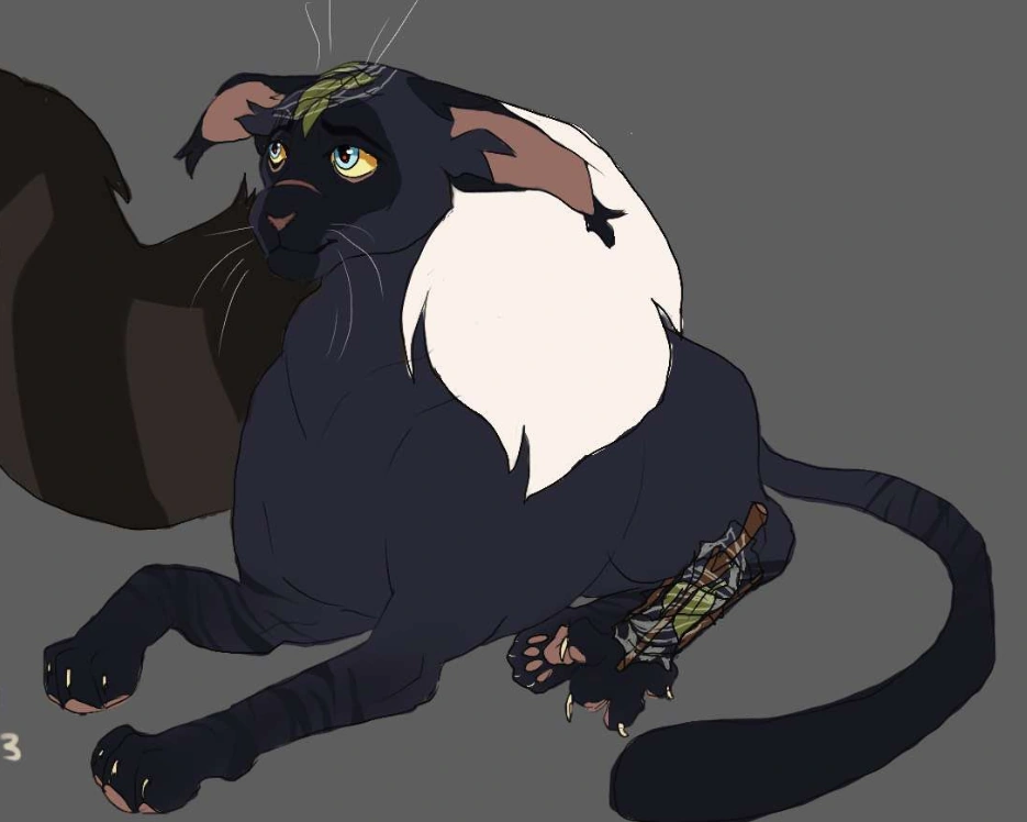 Rookfrost | Cats of Mirror Lake Wiki | Fandom