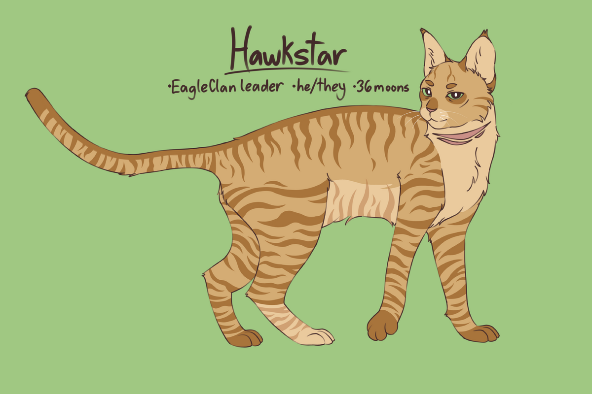 Hawkstar Cats Of Mirror Lake Wiki Fandom