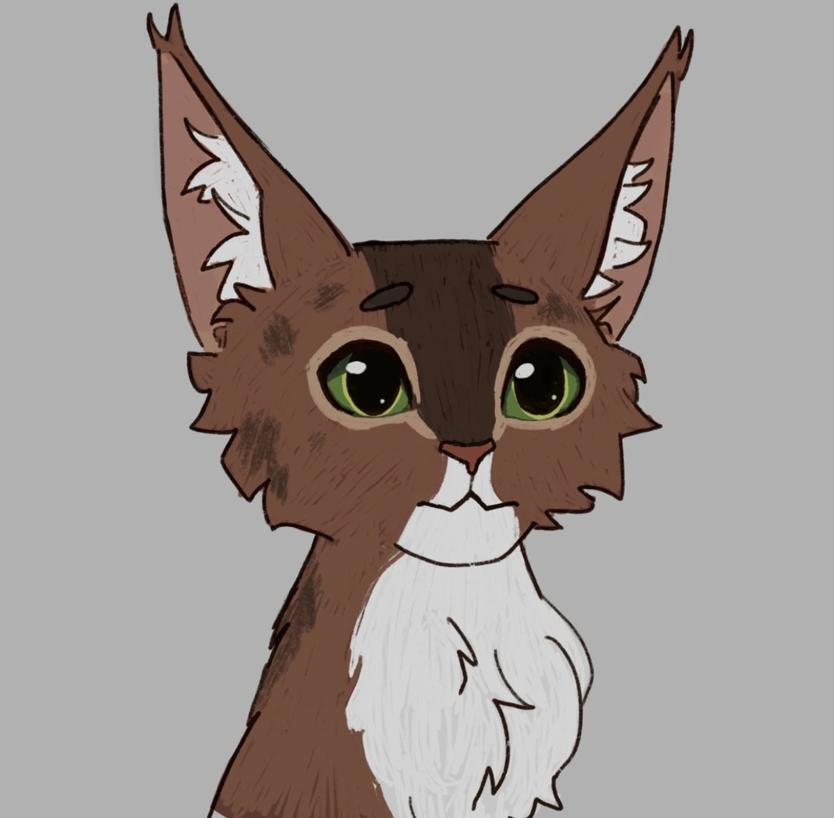 Shellkit | Cats of Mirror Lake Wiki | Fandom