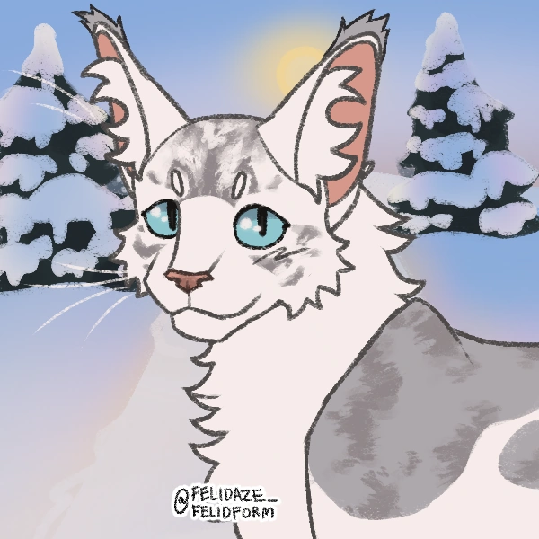Frostwing | Cats of Mirror Lake Wiki | Fandom