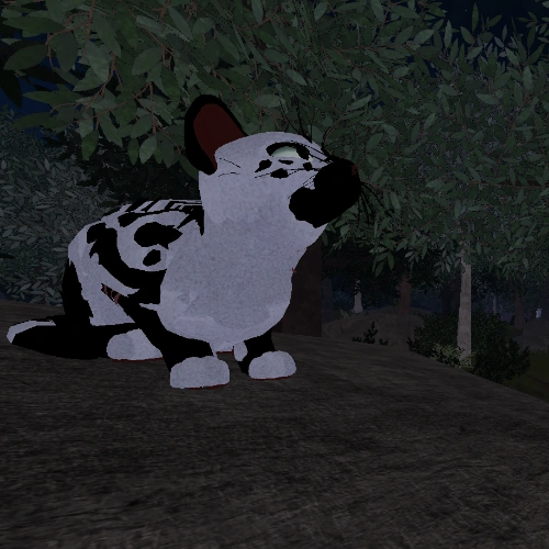 Kit | Commander's OCs Wiki | Fandom