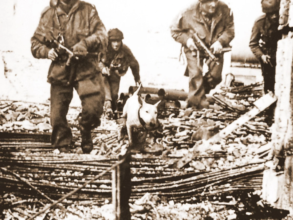 Whiskey | Commandos Wiki | Fandom