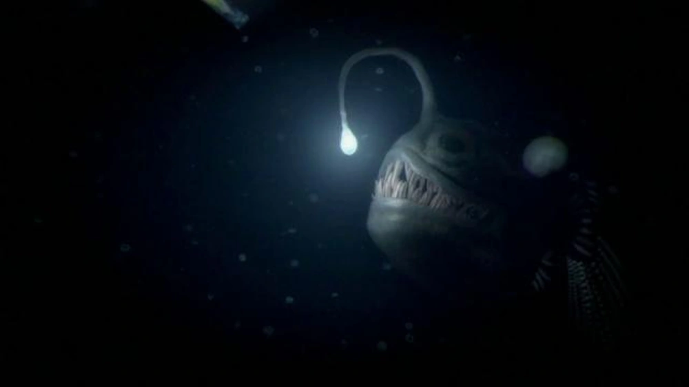 Ocean (AT&T) | TV Commercial Wiki | Fandom