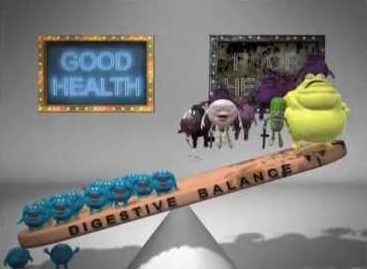 Inner Health | TV Commercial Wiki | Fandom