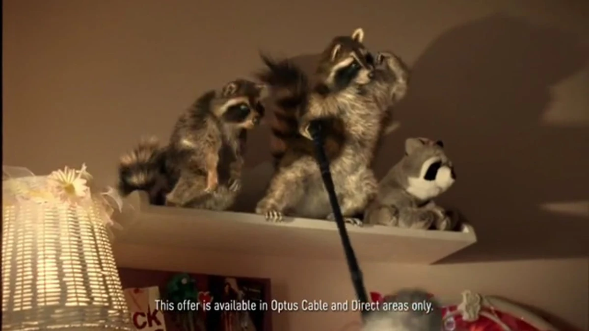 Optus (2007) Fusion | TV Commercial Wiki | Fandom