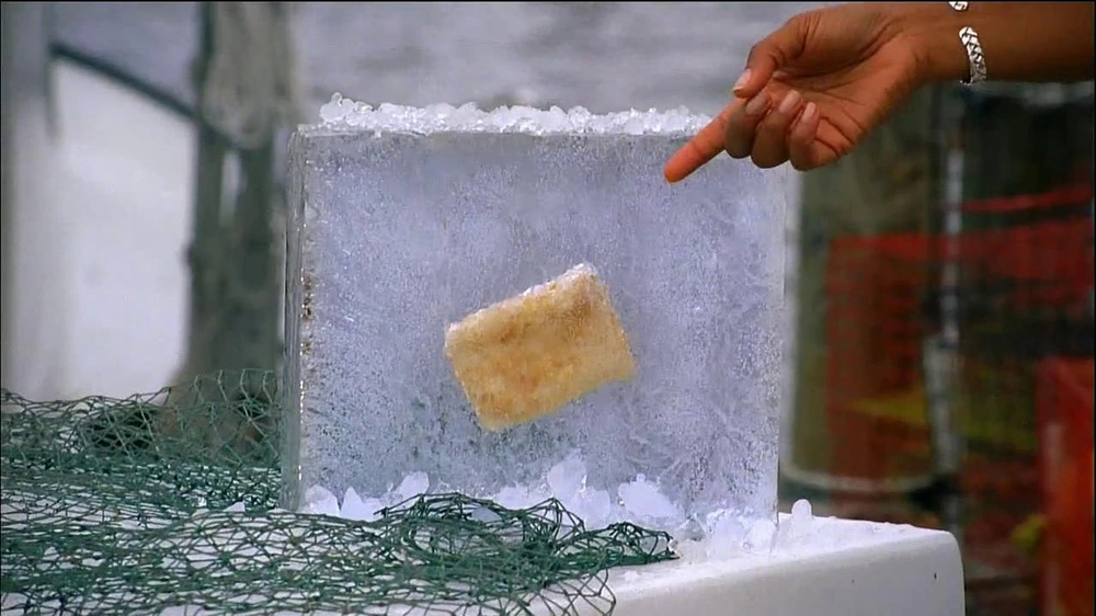 Beef Patty Inside an Ice Cube | TV Commercial Wiki | Fandom