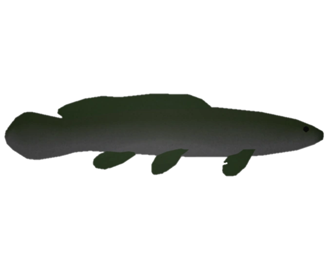 Bowfin | NORTHWIND Wiki | Fandom