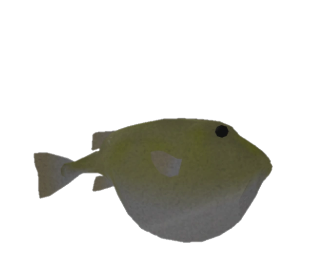 Northern Pufferfish | NORTHWIND Wiki | Fandom