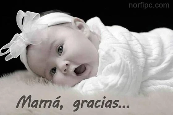 Festeja con tu madre en su día. | Como ser un buen hijo de DiegoJ Wiki ...