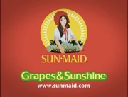 PBS Kids Sun-Maid Funding Bumper | Company Bumpers Wiki | Fandom
