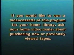 Company Bumpers Video Dealer Screens | Company Bumpers Wiki | Fandom